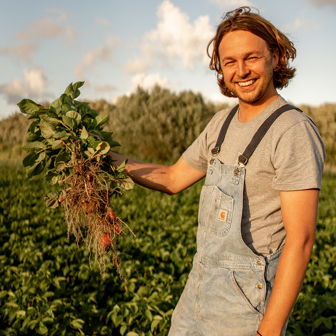 Een duurzaam maaltijdconcept van gezonde grond - Distrivers
